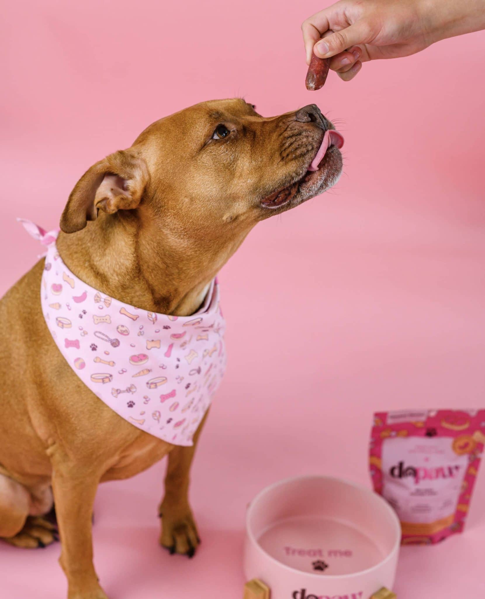 Dopaw - Pink Pony Creative